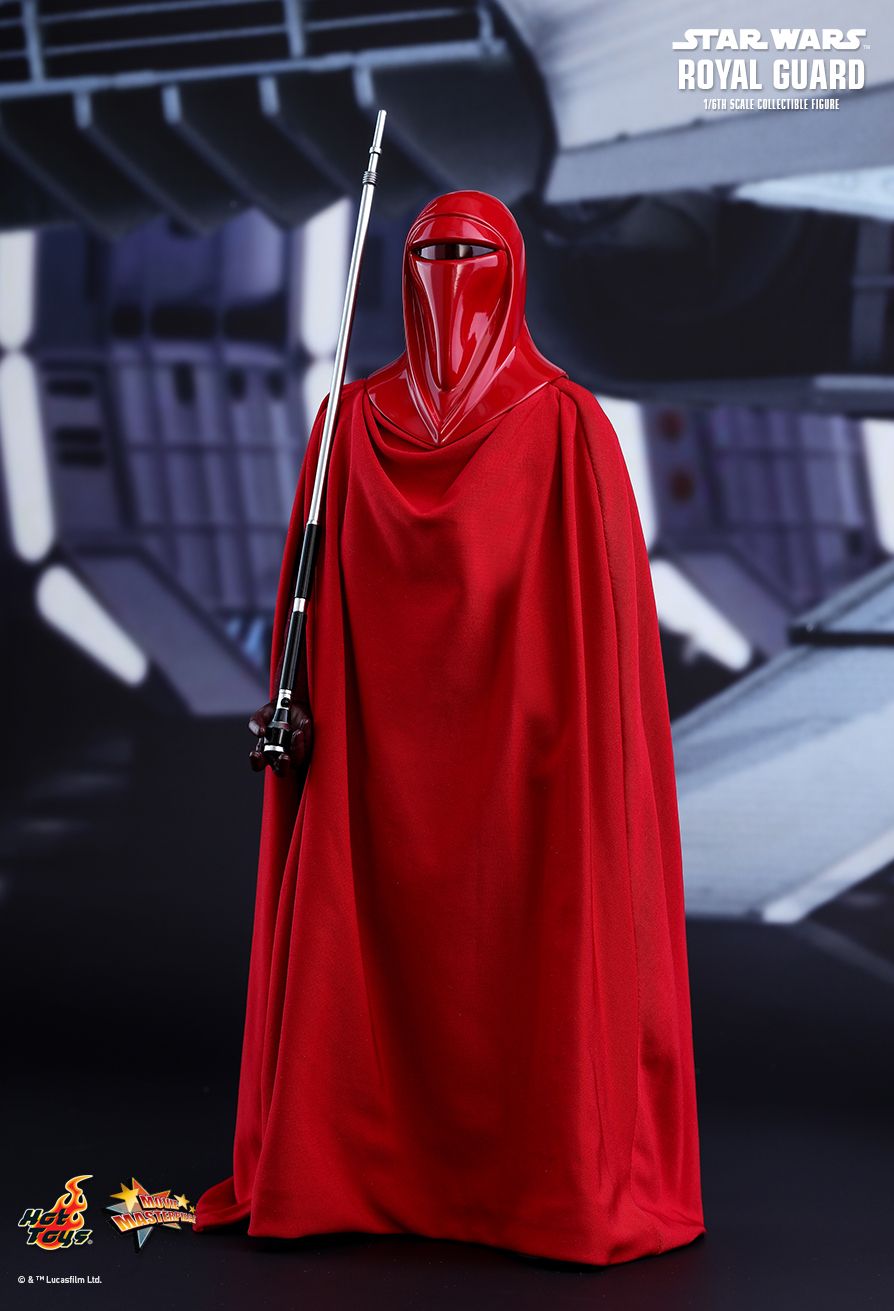 Royal Guard Sixth Scale Figure by Hot Toys