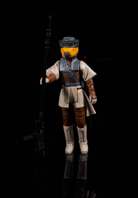 Princess Leia Boushh
