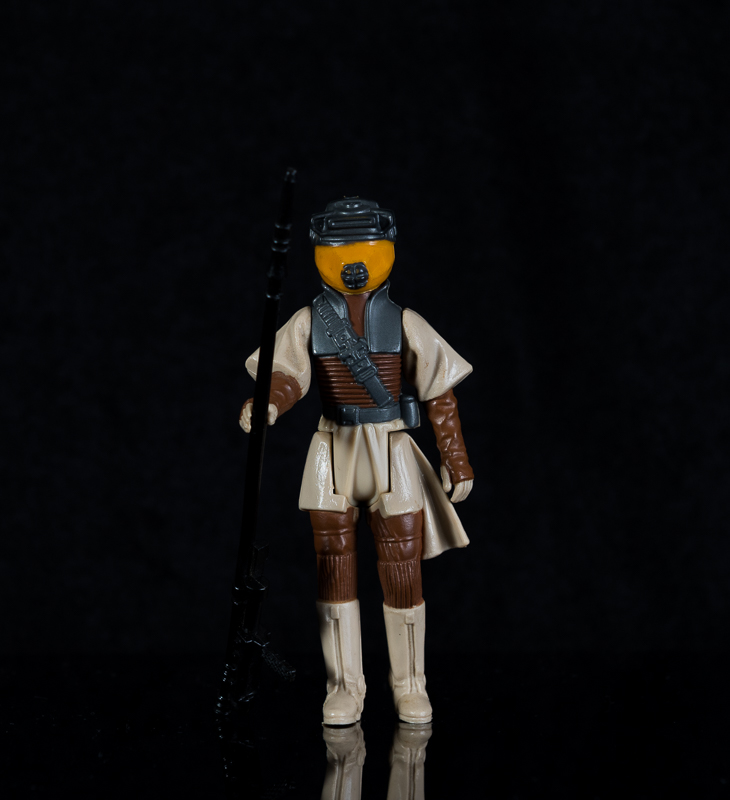 Princess Leia Boushh