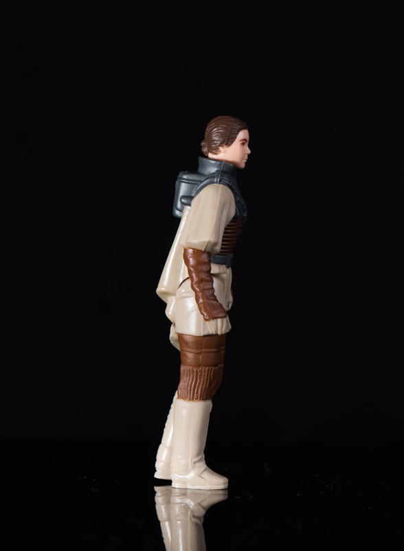 Princess Leia Boushh