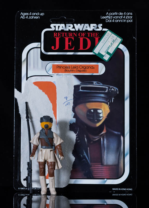 Princess Leia Boushh