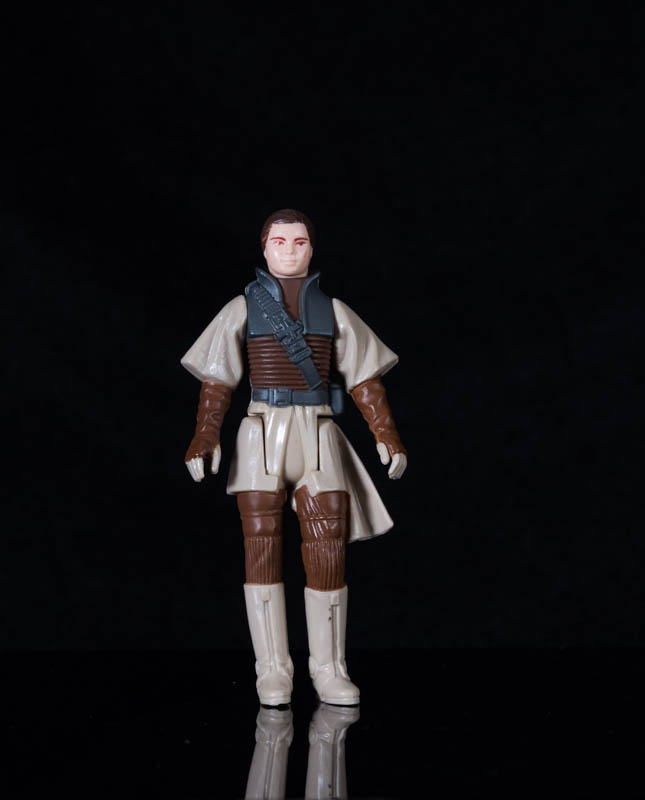 Princess Leia Boushh