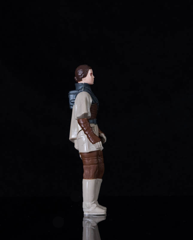 Princess Leia Boushh