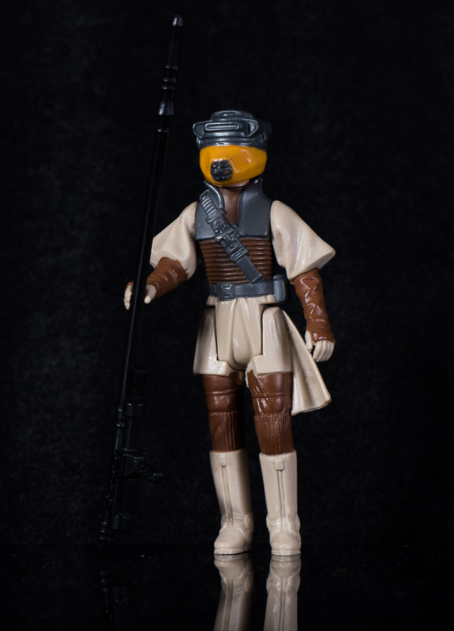 Princess Leia Boushh