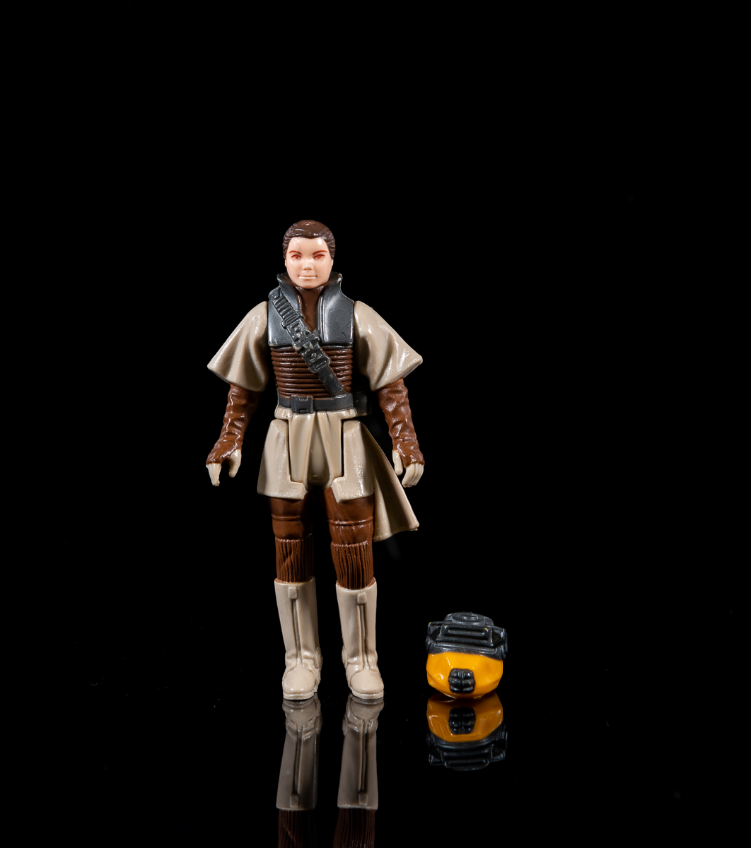 Princess Leia Boushh