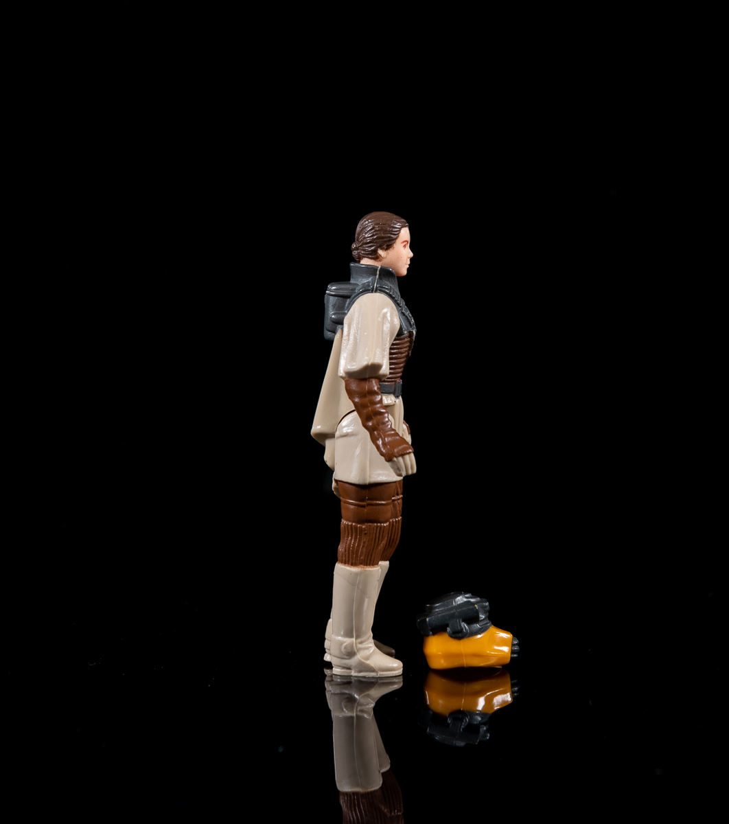 Princess Leia Boushh