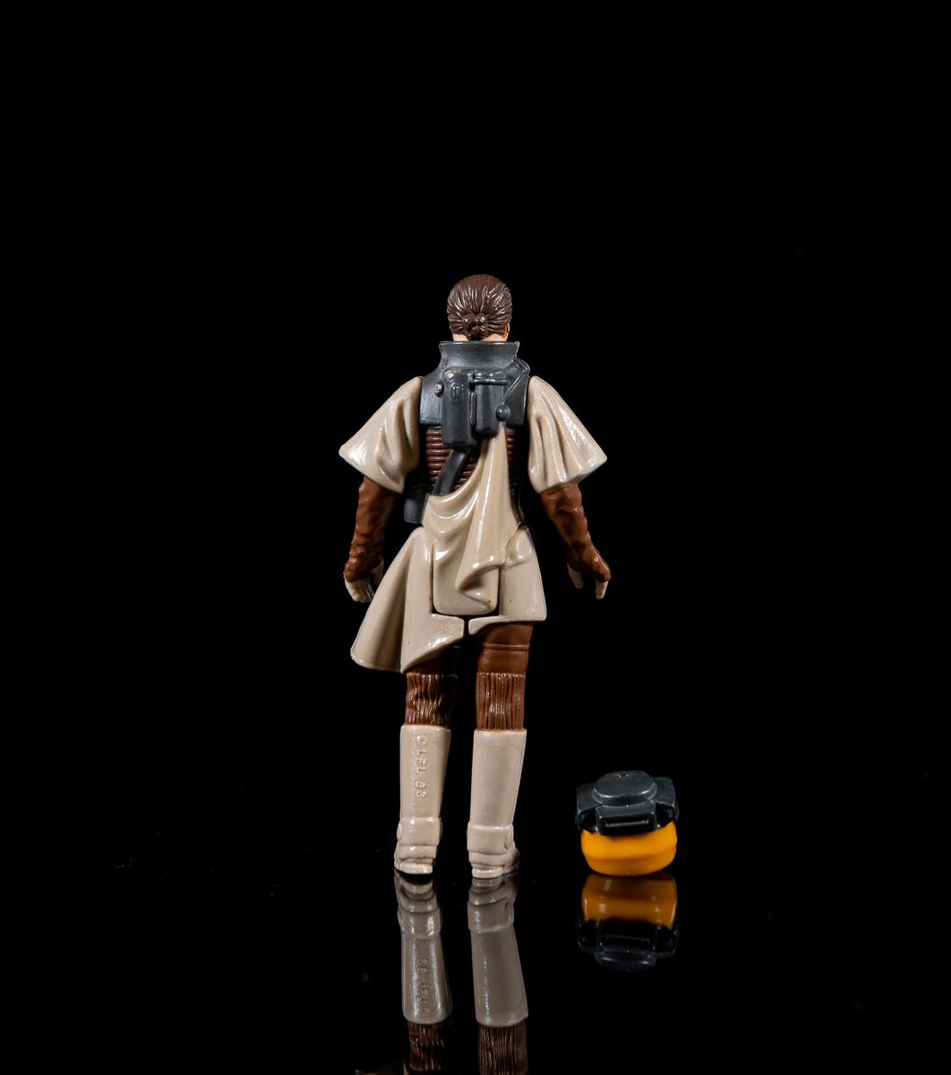 Princess Leia Boushh